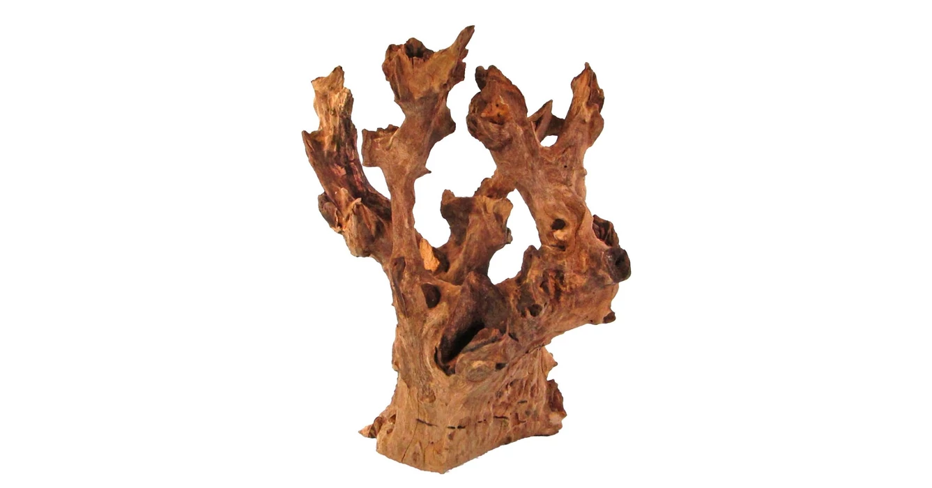 Barico Root gyökér XL / 45-60 cm
