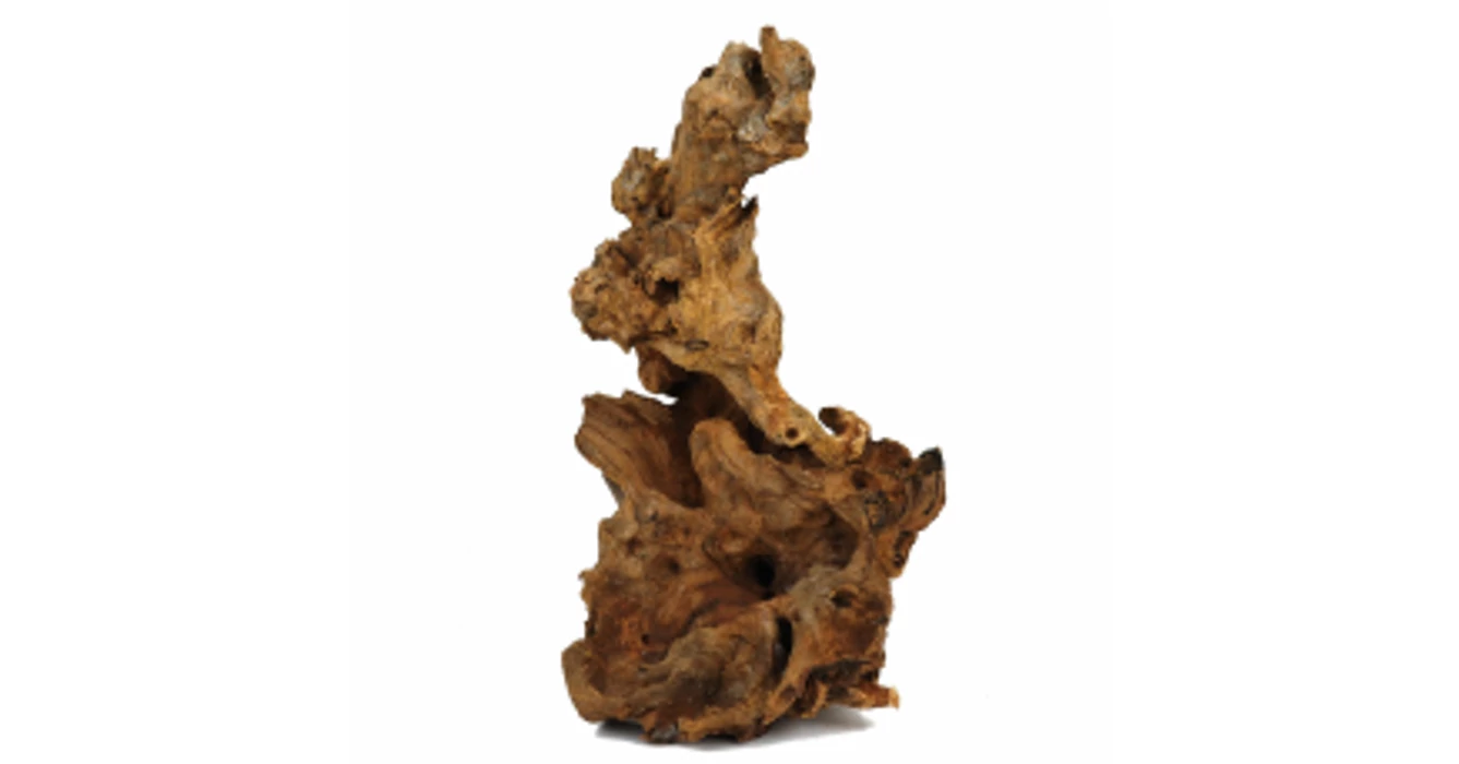 Barico Root gyökér M// 20-30 cm