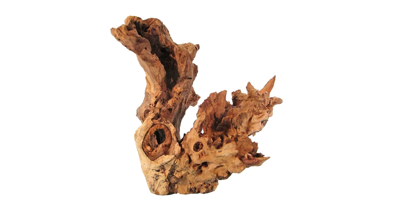 Barico Root gyökér L / 30-45 cm